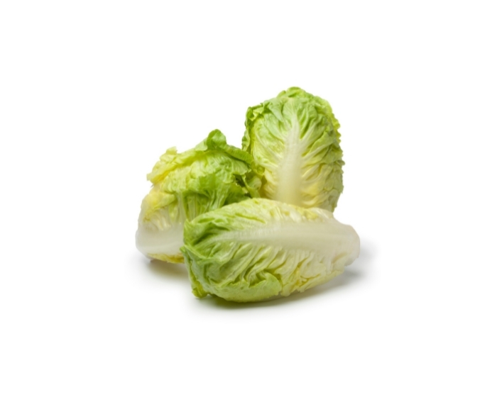 Buy Baby Gem Lettuce - Fresco
