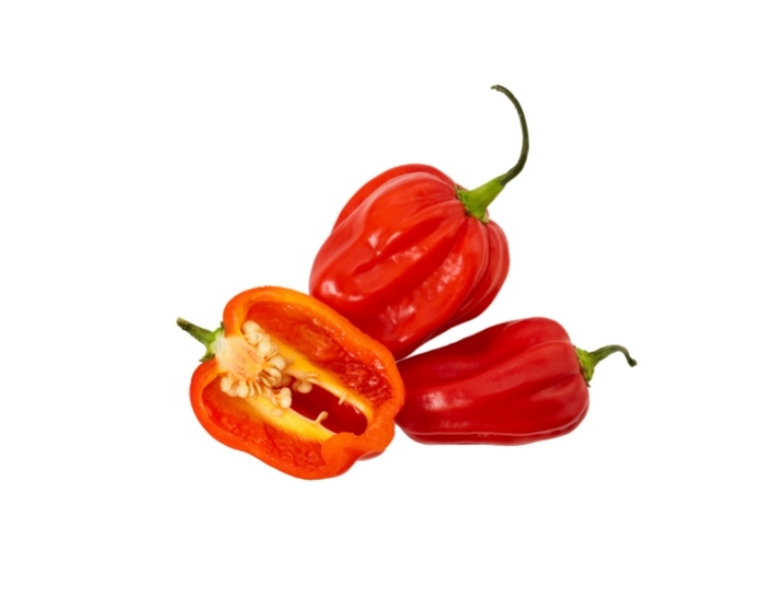 Buy Pepper Habanero Red - Fresco