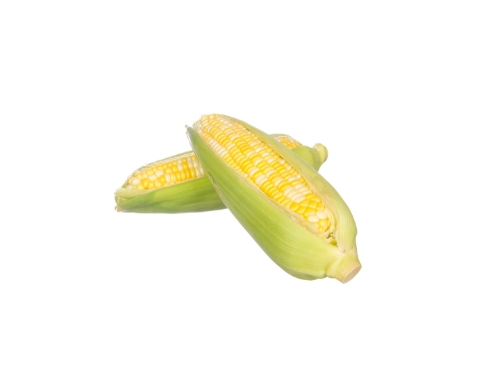 Buy Corn Bi-Color - Fresco