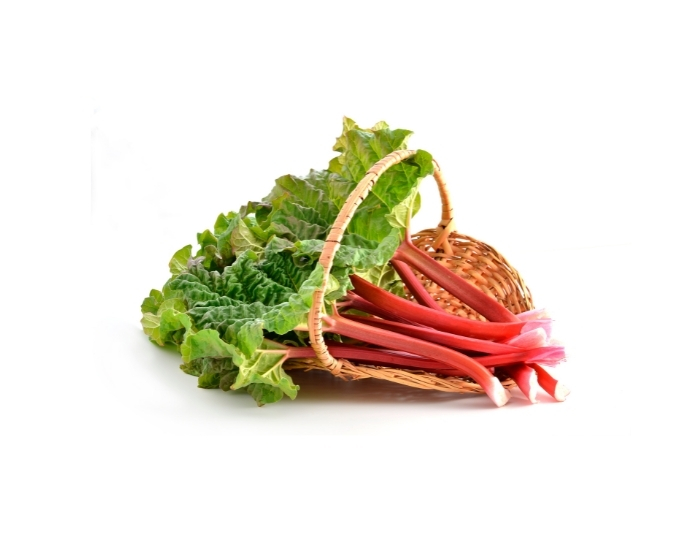 Buy Rhubarb (Imported) - Fresco